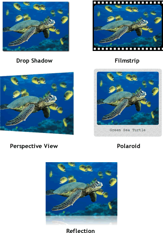 How to build an advanced ASP.NET AJAX Photo Slideshow featuring imaging effects and watermarks ...